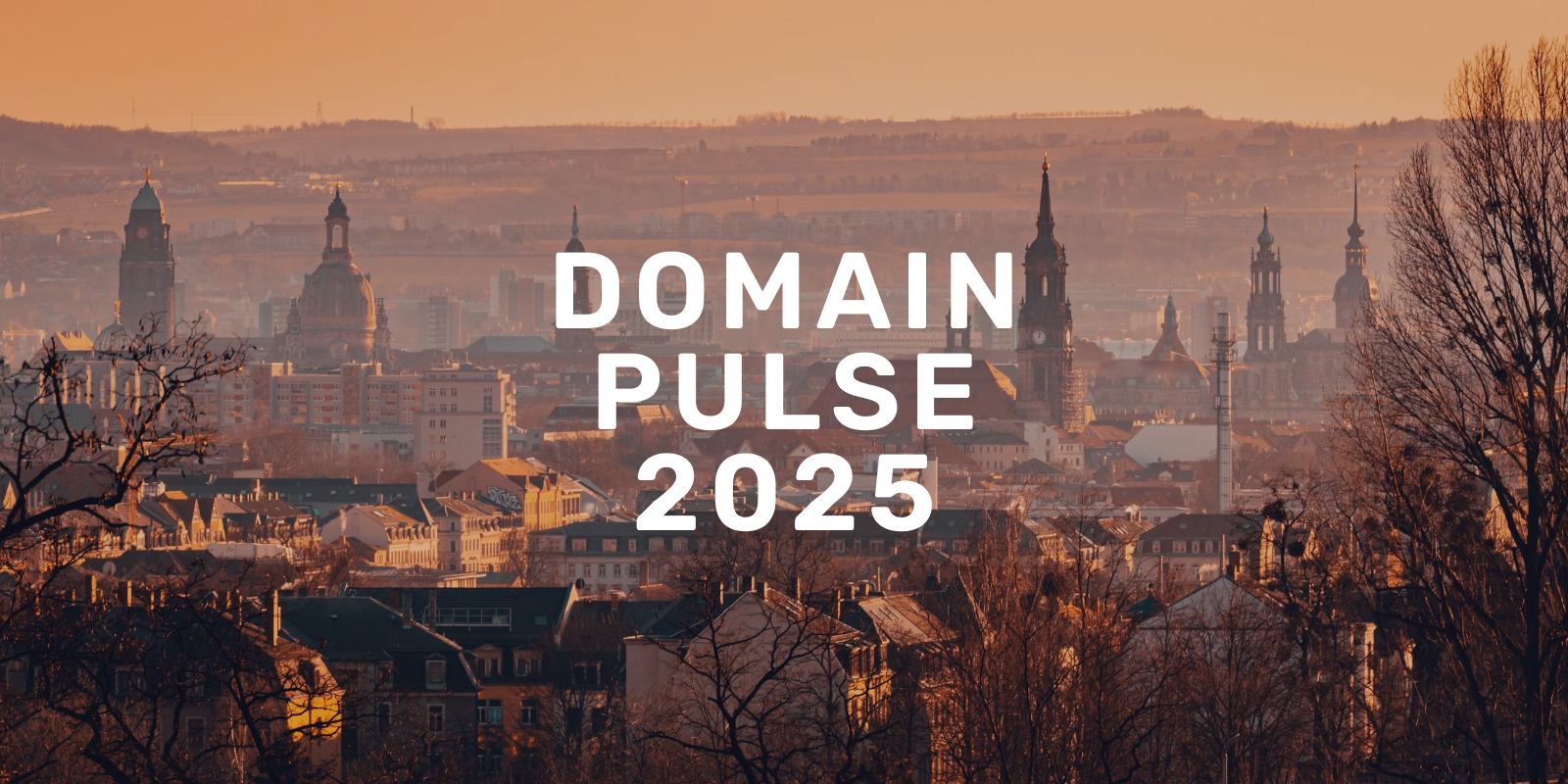 it.com Domains at the Domain Pulse in Dresden